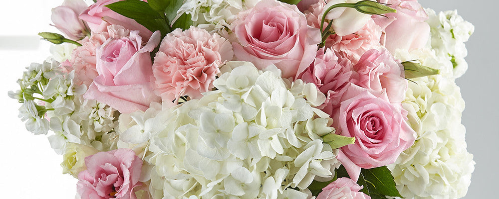 Collections–Kroger