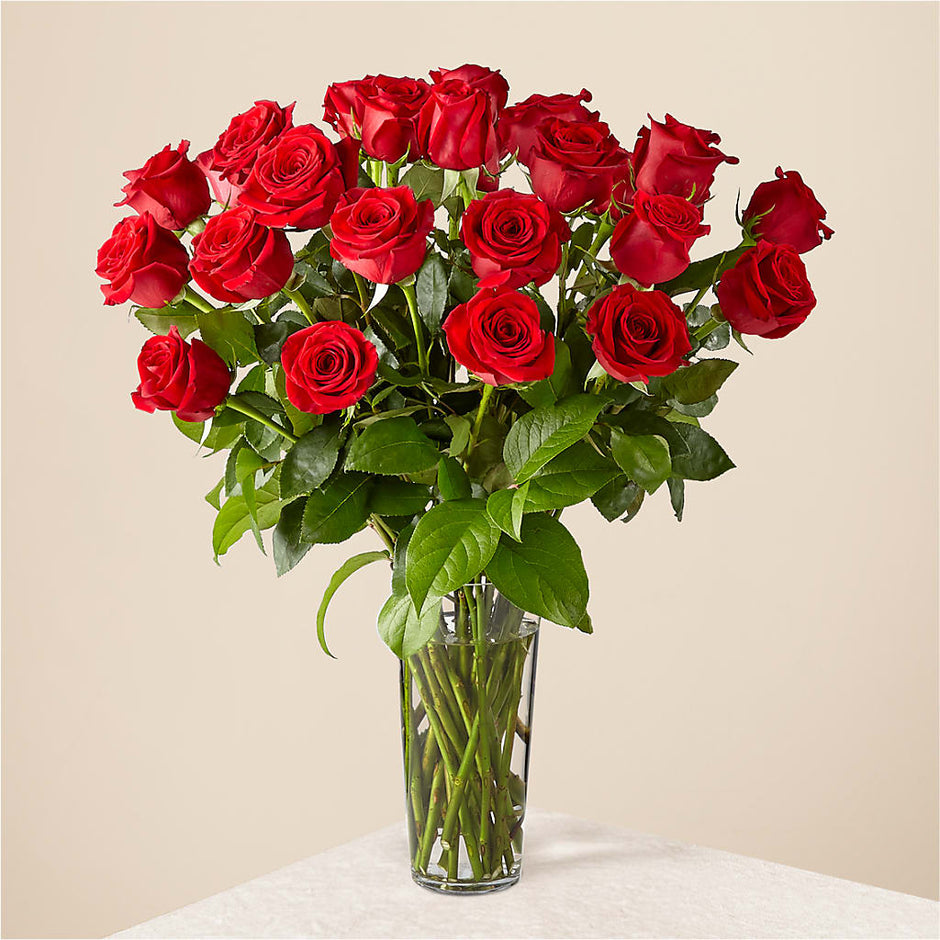Best Selling Flowers | Kroger