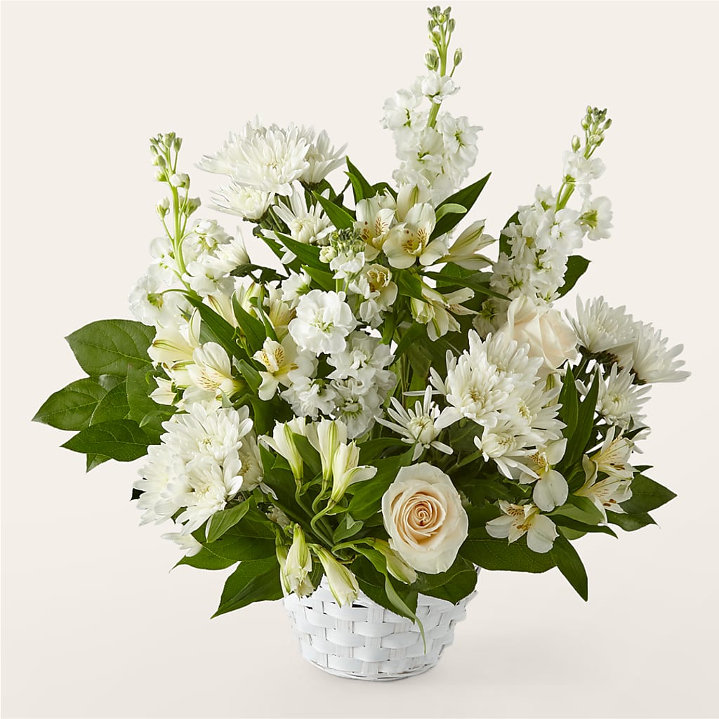 Get Well Flowers | Kroger