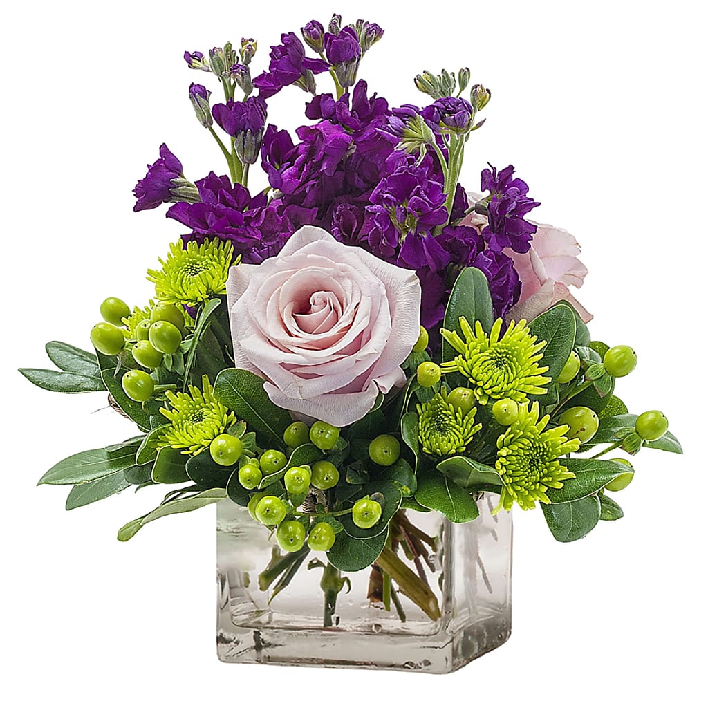 My Anna Marie–Kroger